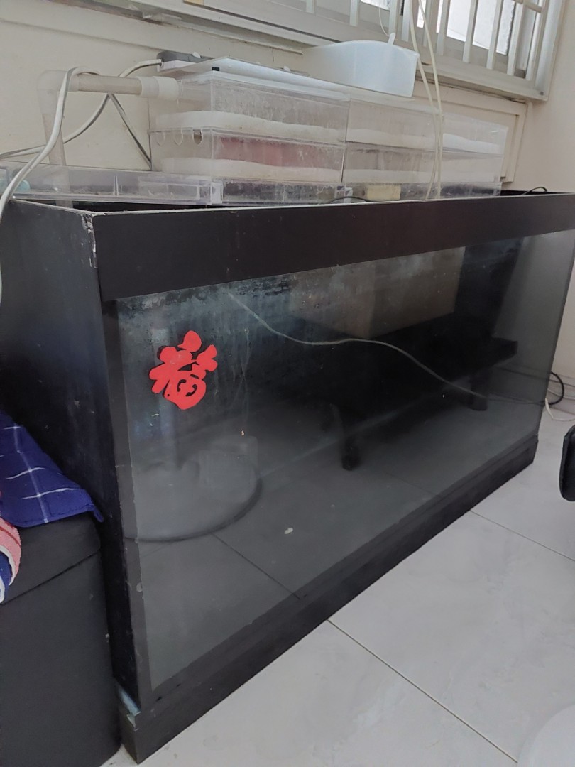 4x2x2 low profile fish tank, Pet Supplies, Homes & Other Pet ...