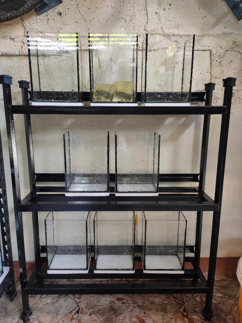PRE ORDER HEAVY DUTY BETTA RACK, Pet Supplies, Homes & Other Pet ...