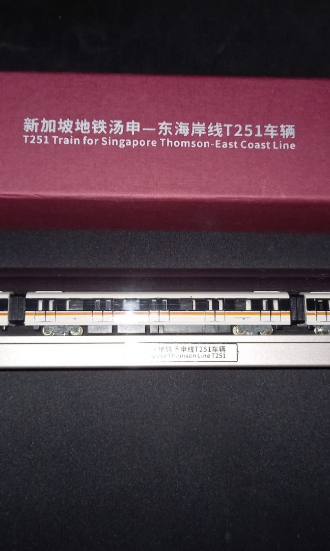 Rare Thomson Line (TEL) Train, Hobbies & Toys, Memorabilia ...