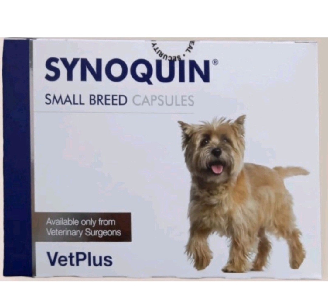 Synoquin small breed capsules, Pet Supplies, Health & Grooming on Carousell