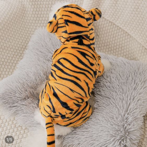 Tiger Clothing, Pet Supplies, Homes & Other Pet Accessories on Carousell