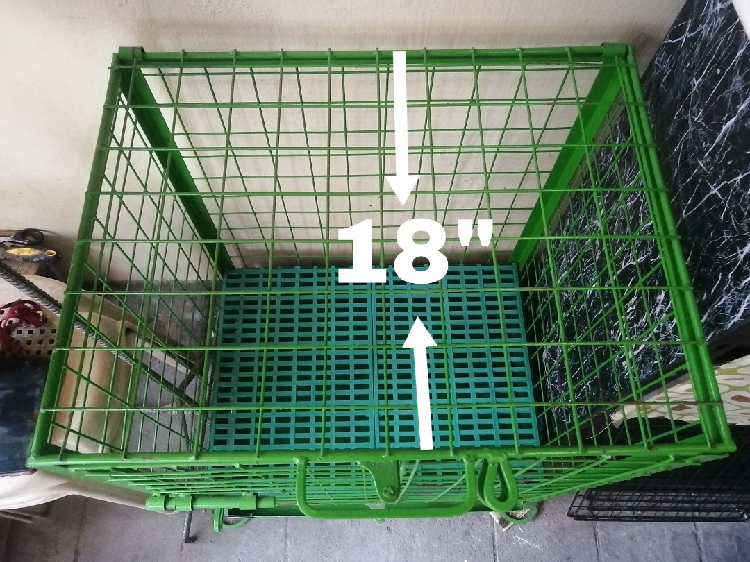 30"x24"x18" Dog Cage, Pet Supplies, Homes & Other Pet Accessories on ...
