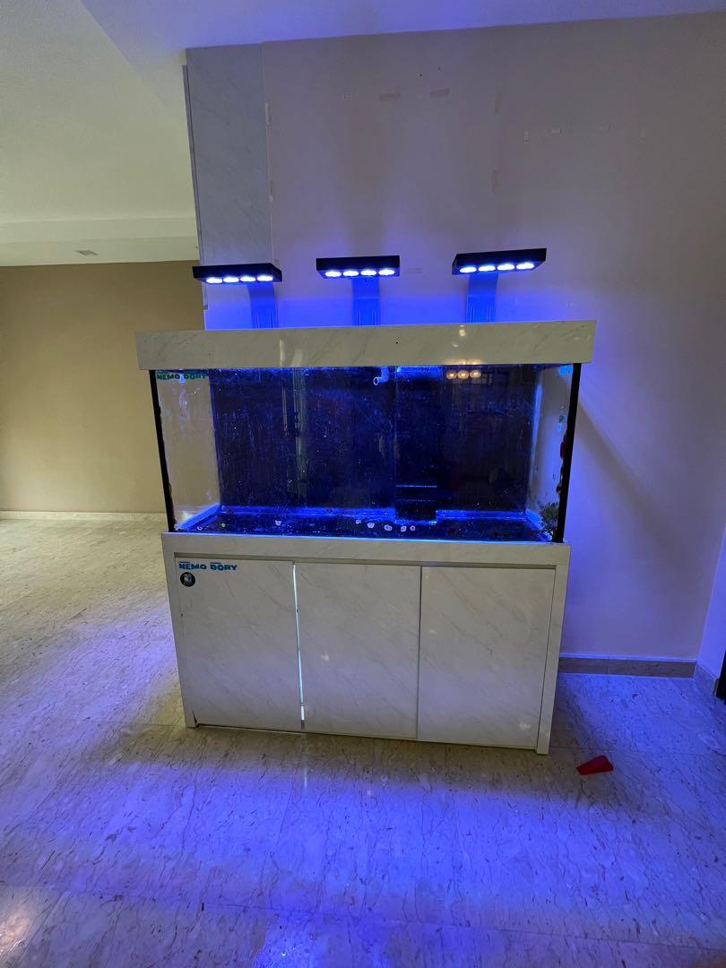 5 feet Fish Tank by CRA, Pet Supplies, Homes & Other Pet Accessories on ...
