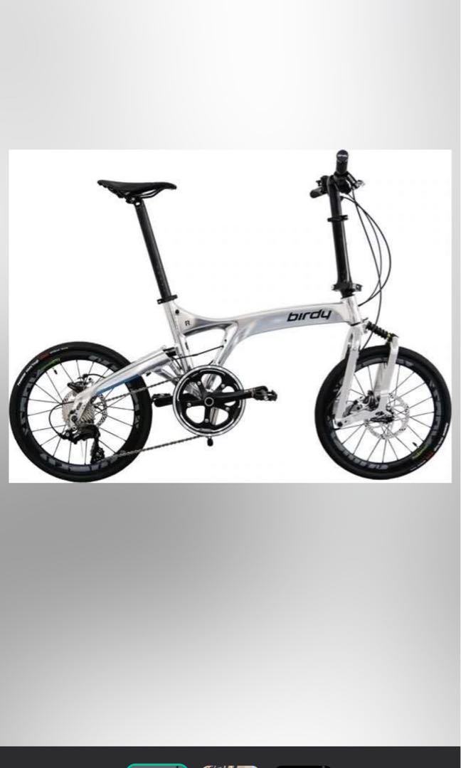 Birdy R20 Polish Silver Discon most stunning colour, Sports Equipment ...