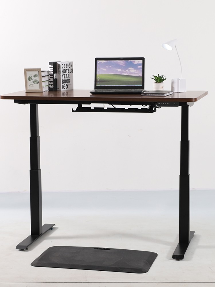 JOANA _ Smart Standing Desk / Ergonomic Smart Home Office Work Table ...