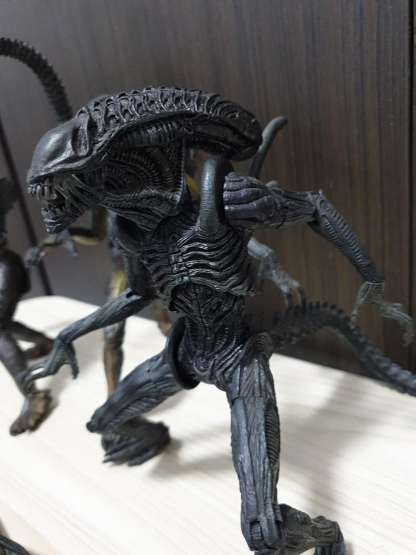 NECA Alien, Predator and Predalien, Hobbies & Toys, Toys & Games on ...