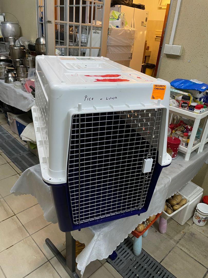PP60 Dog/Animal Crate - Airline Approved - Pet Relocation ...