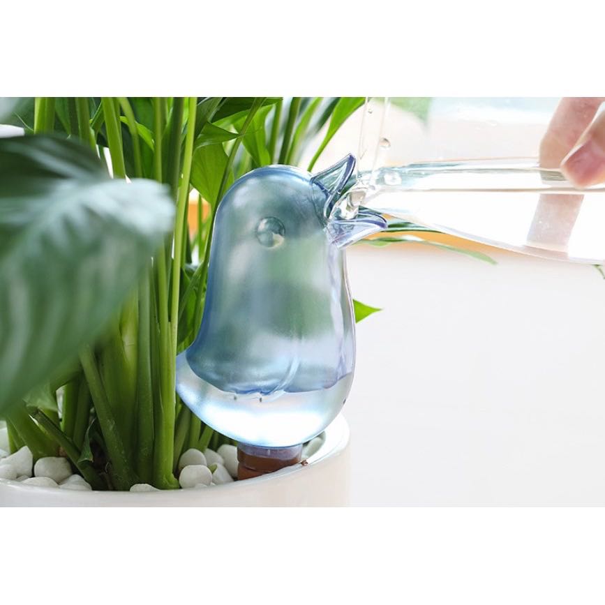 Self dripping water system, Furniture & Home Living, Gardening, Hose ...