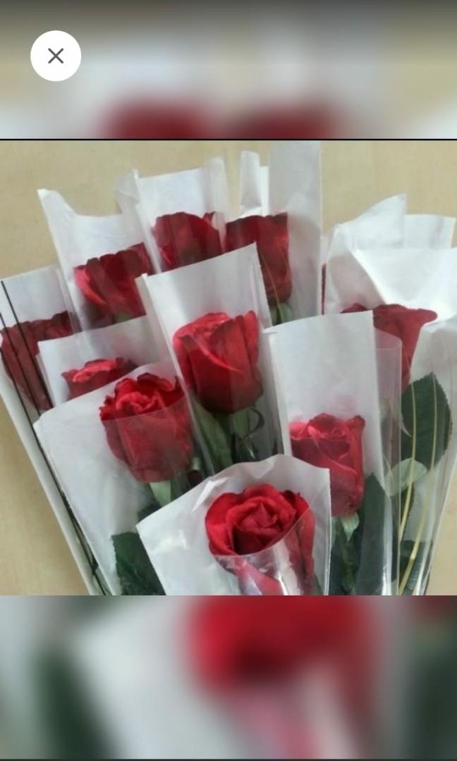 Single Stalk Fresh Rose, Hobbies & Toys, Stationery & Craft, Flowers ...