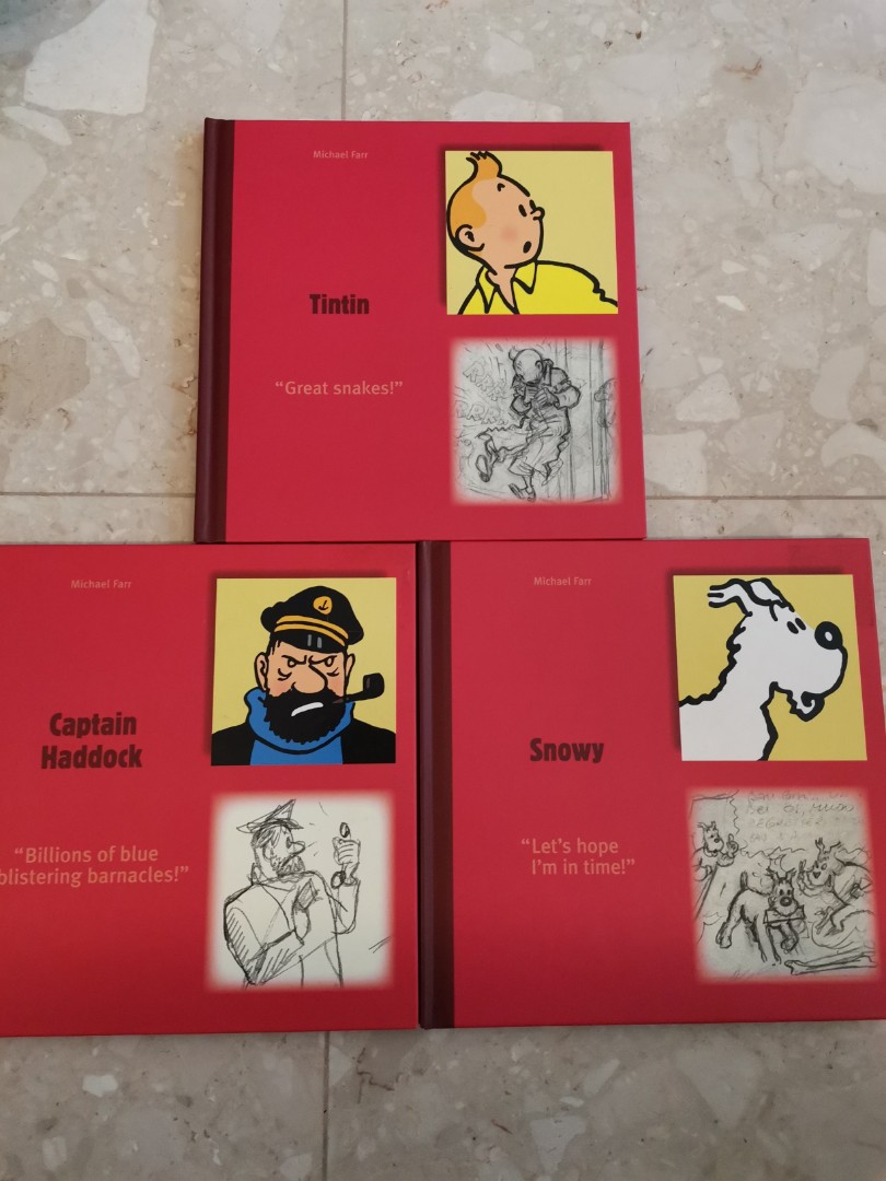 Tin Tin, Snowy and Captain Haddock Book, Hobbies & Toys, Books ...