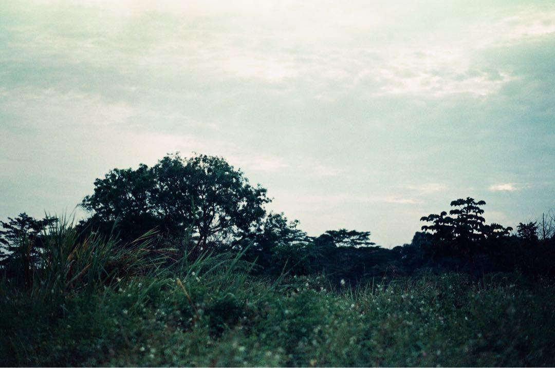 Expired Film Sample Photos 35mm Film, Photography, Photography ...