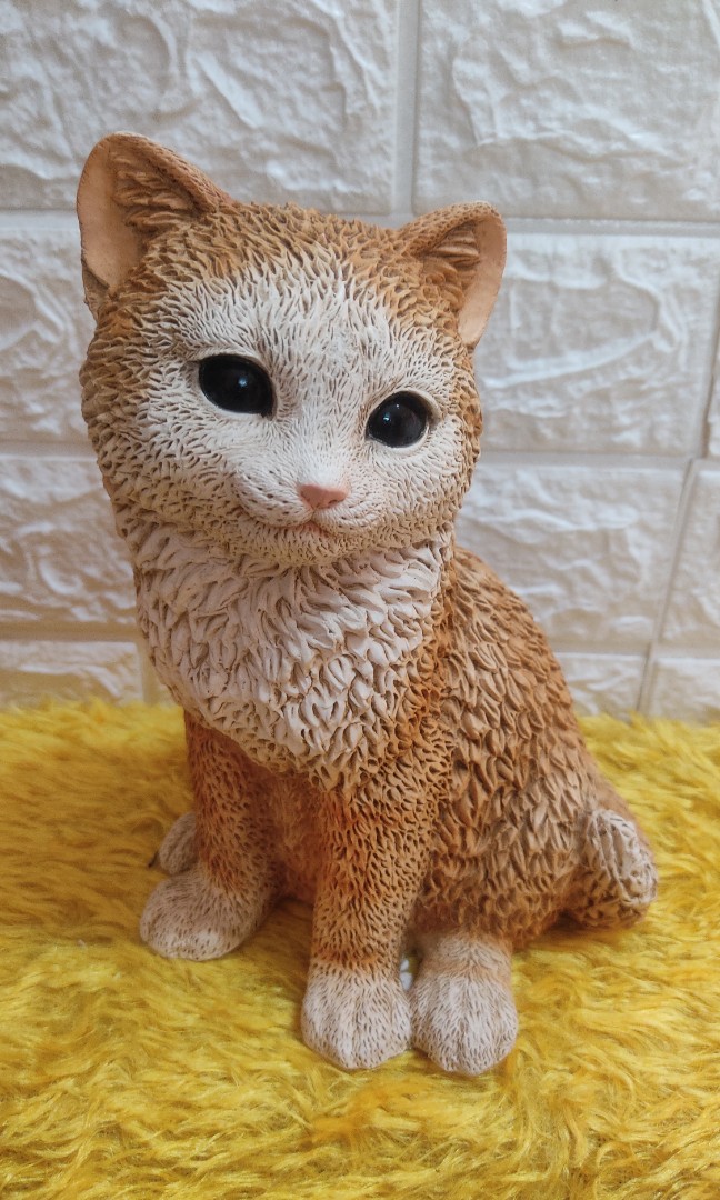 Cat Display, TV & Home Appliances, TV & Entertainment, Entertainment ...