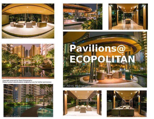 Ecopolitan, Property, Rentals, Room Rentals on Carousell