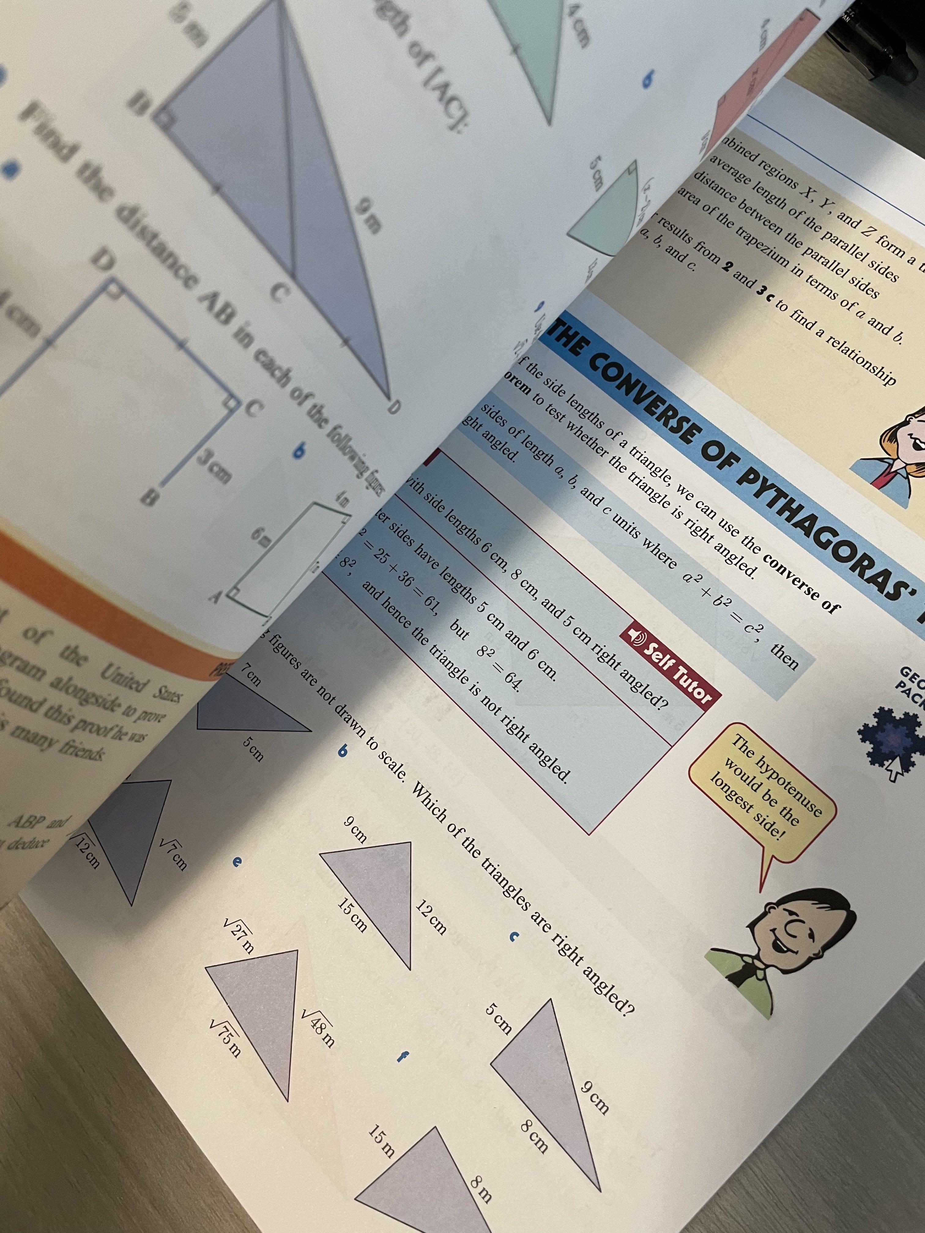 Haese Mathematics 10E MYP 5 (Extended) Textbook, 興趣及遊戲, 書本 & 文具, 教科書 ...