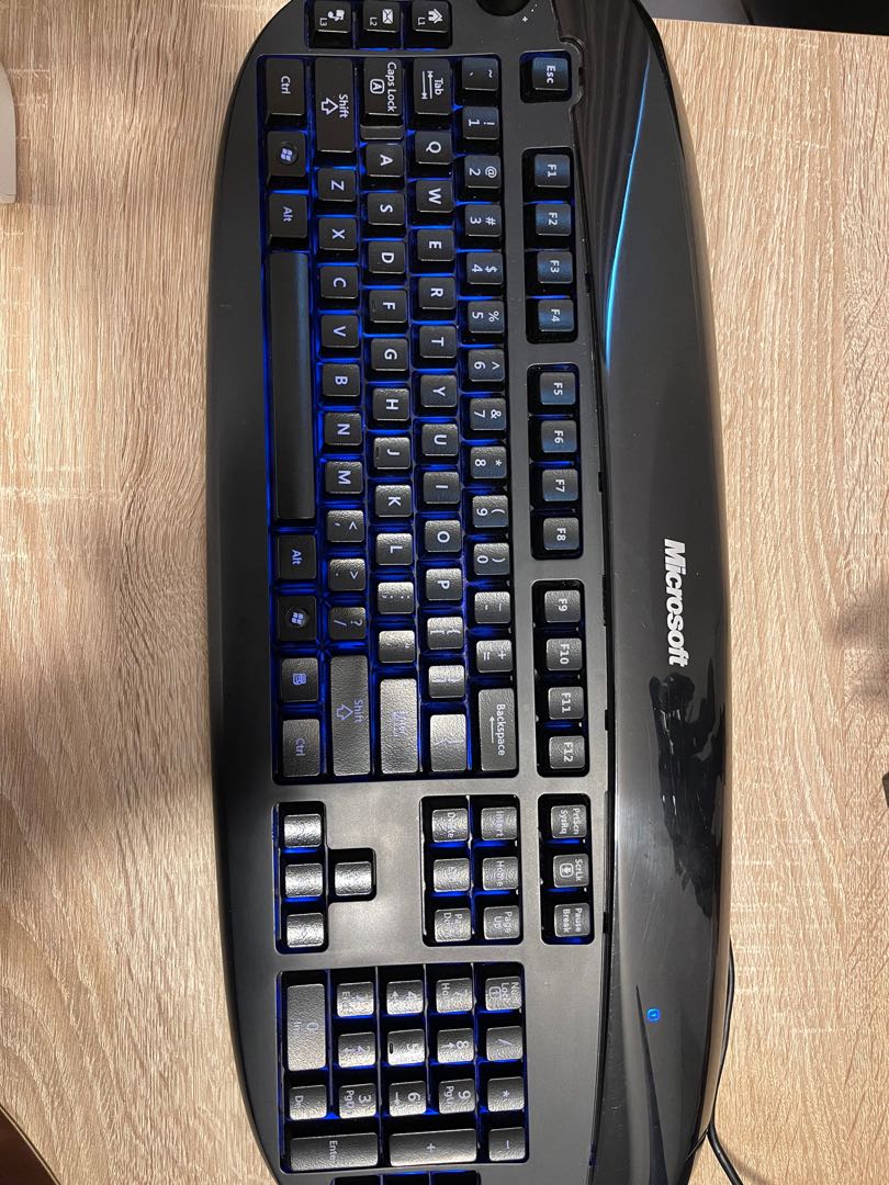 Microsoft Bluelight Gaming Keyboard, Computers & Tech, Parts ...