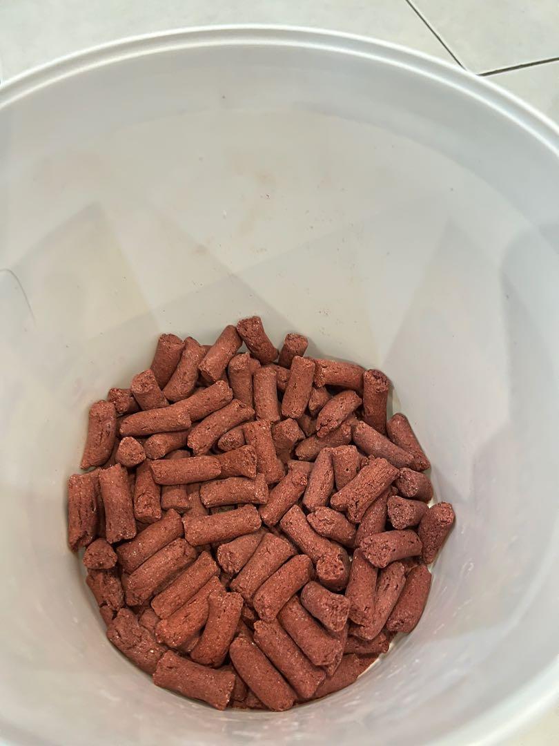 Biohome ultimate biological filtration medium, Pet Supplies, Homes ...