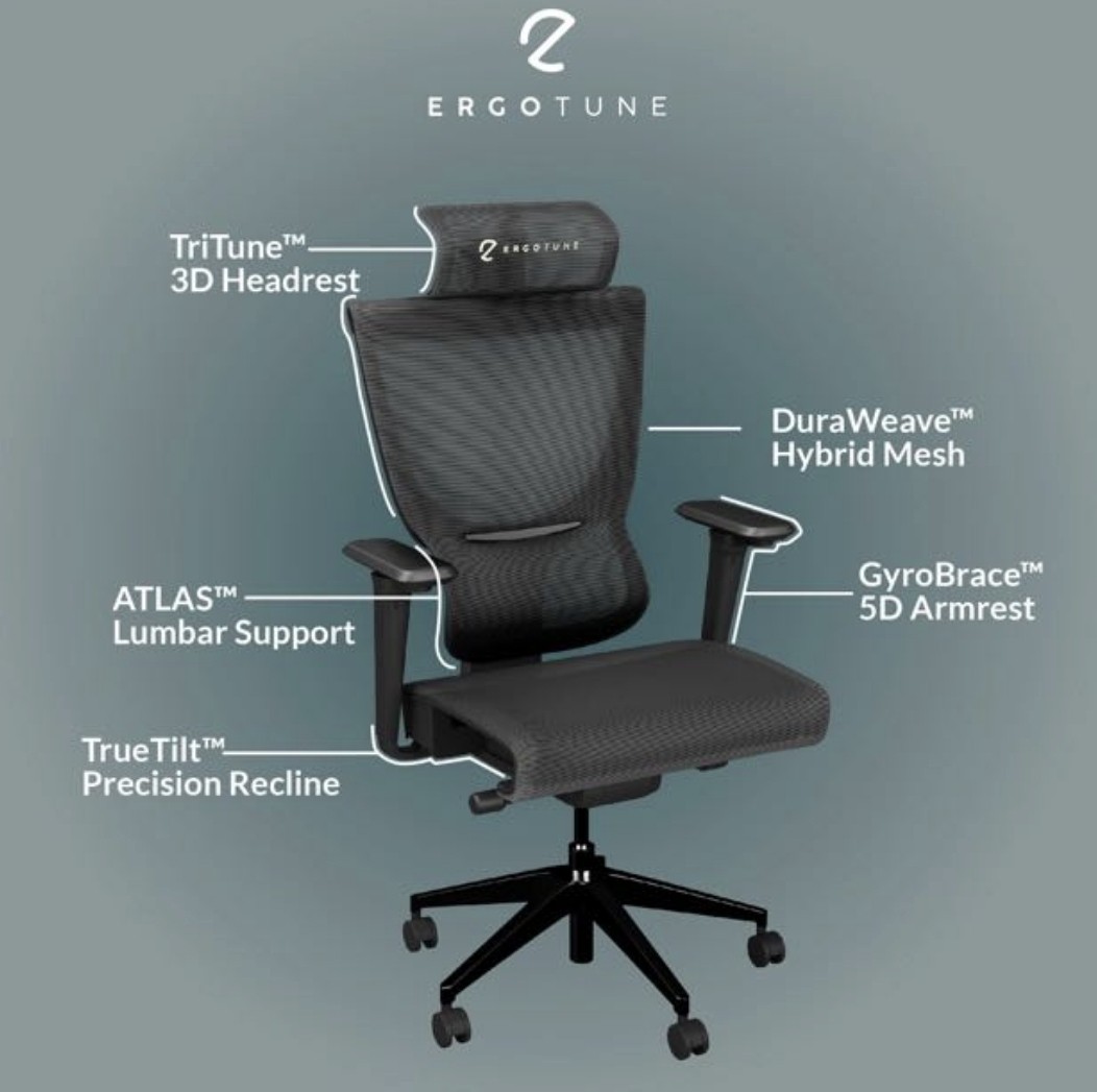 Ergotune Supreme, Furniture & Home Living, Furniture, Chairs on Carousell