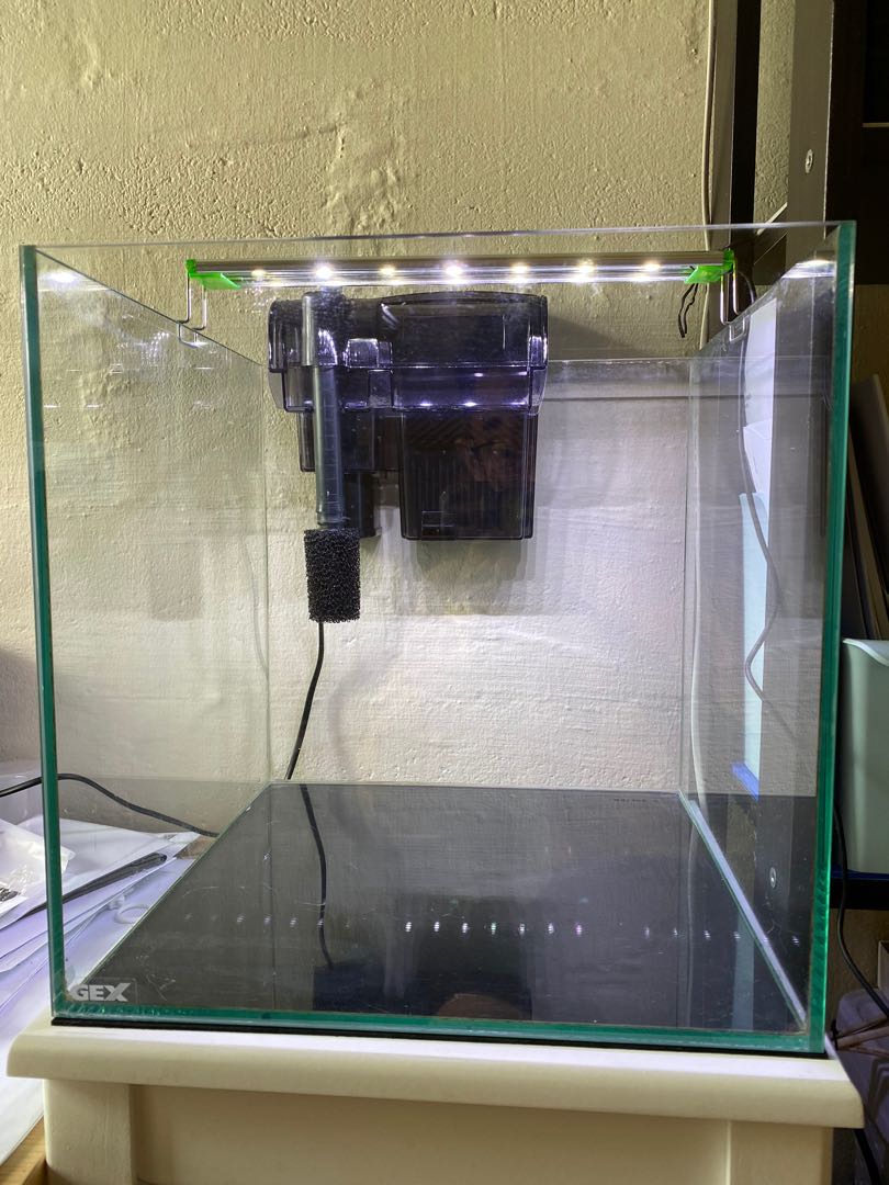 GEX 1 ft cube (30cm x 30cm )Fish Tank with filter and lights set., Pet ...