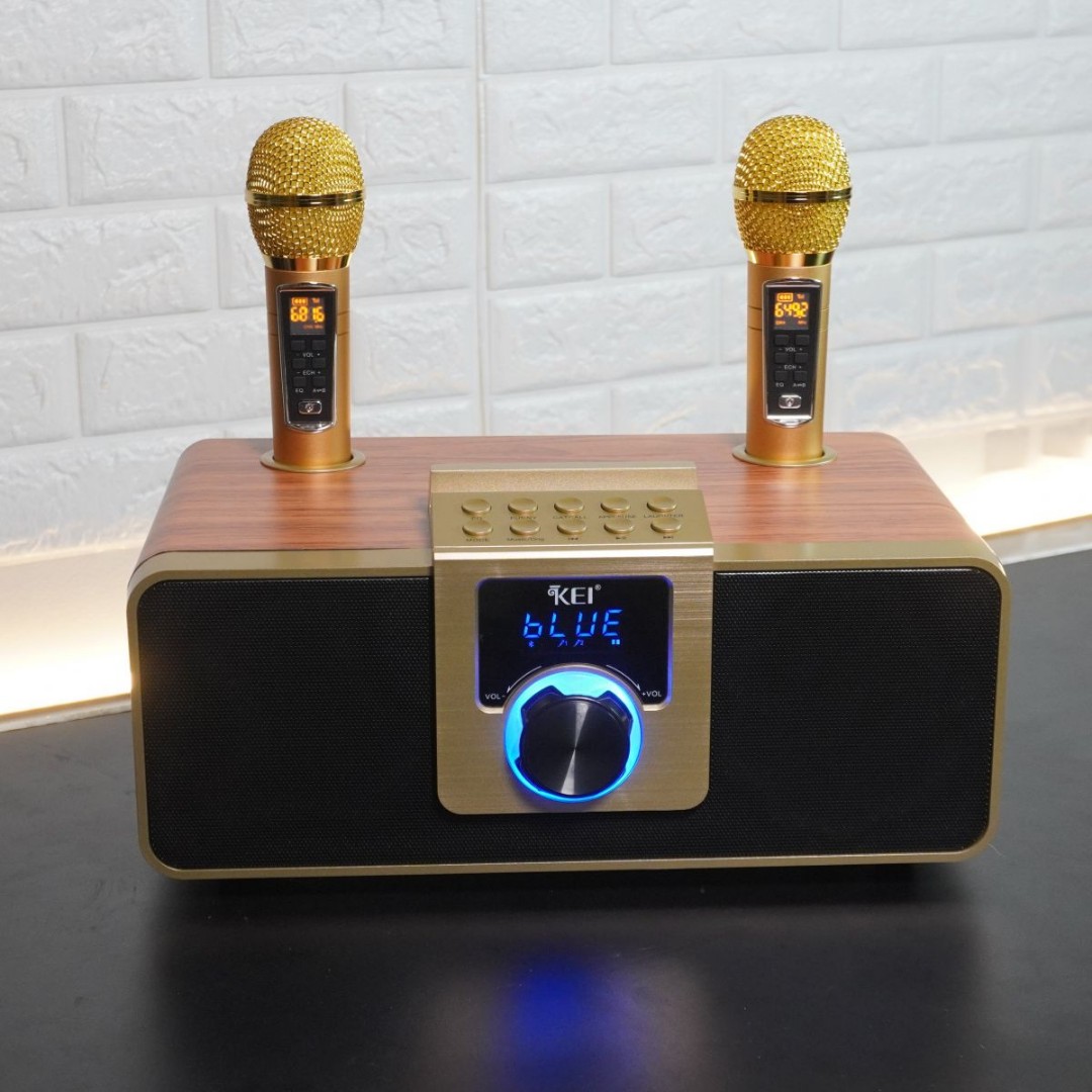 KEI k08 Family KTV Microphone, Audio, Microphones on Carousell