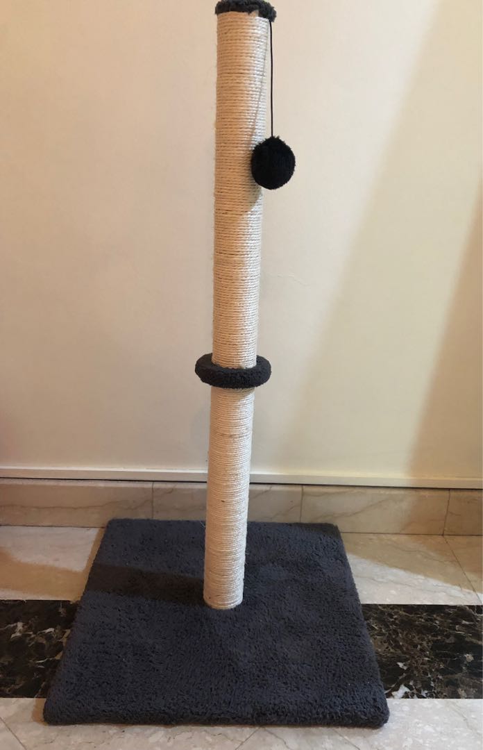New Scratching pole, Pet Supplies, Homes & Other Pet Accessories on ...