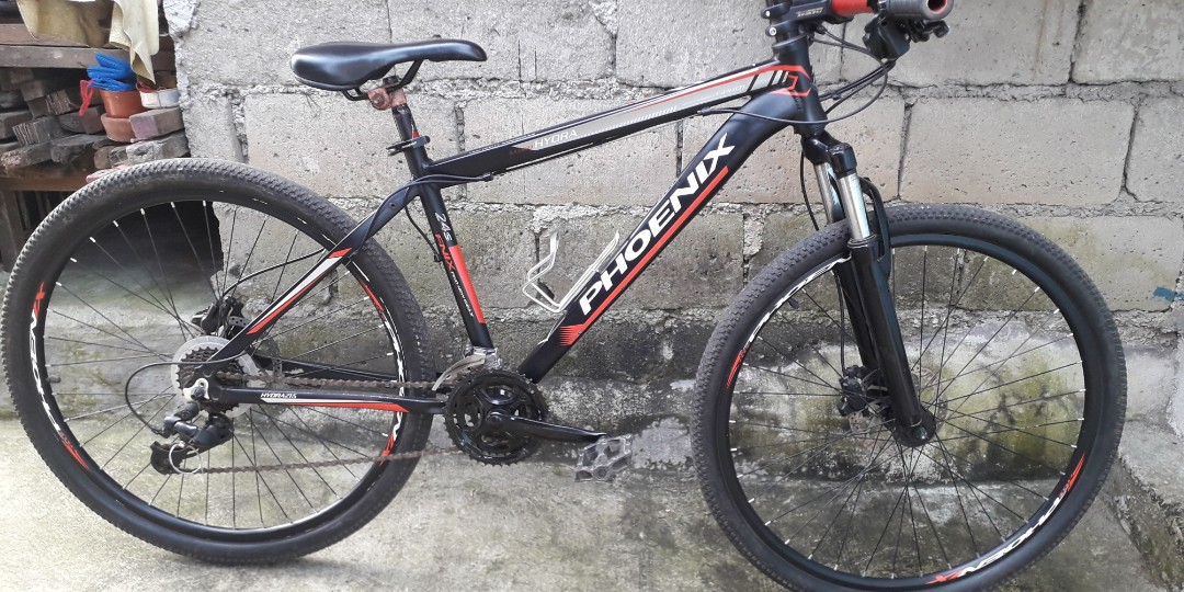 Phoenix mountain bike, Sports Equipment, Bicycles & Parts, Bicycles on Carousell