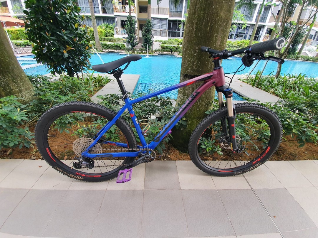 Polygon XTRADA 7 Limited Edition, Sports Equipment, Bicycles & Parts ...