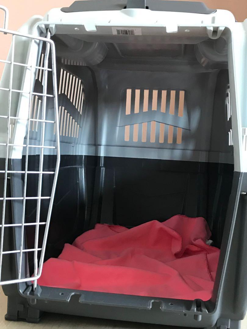 Skudo Dog Crate, Pet Supplies, Homes & Other Pet Accessories on Carousell