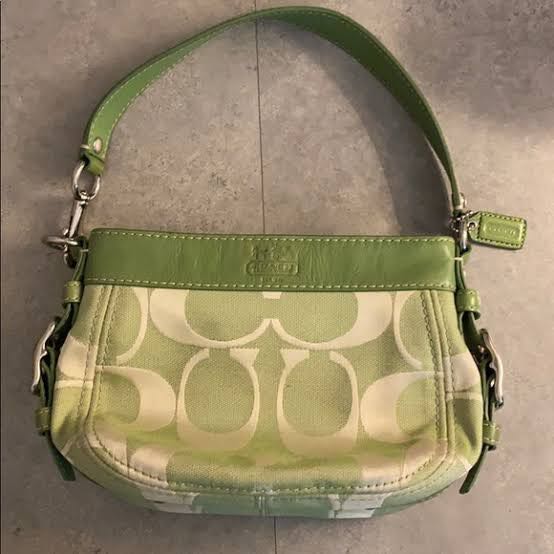 COACH zoe signature small hobo bag, Luxury, Bags & Wallets on Carousell