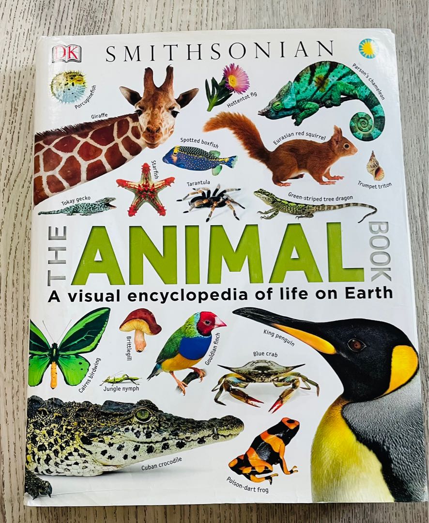 DK the animal encyclopedia (helps with GEP exam), Hobbies & Toys, Books ...