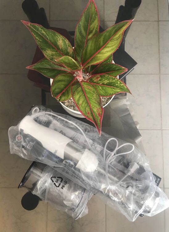 Imarflex Immersion Blender ISB-610, TV & Home Appliances, Kitchen ...