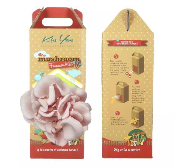 Kin Yan Mushroom Farmer Kit, Food & Drinks, Fresh Produce on Carousell