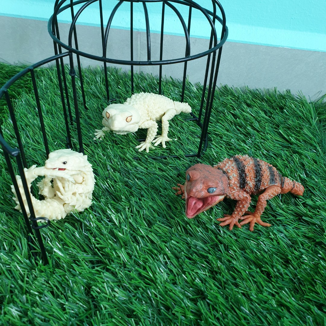 Armadillo Replica Realistic Lizard Gecko figure set of 4 Pets Reptile ...