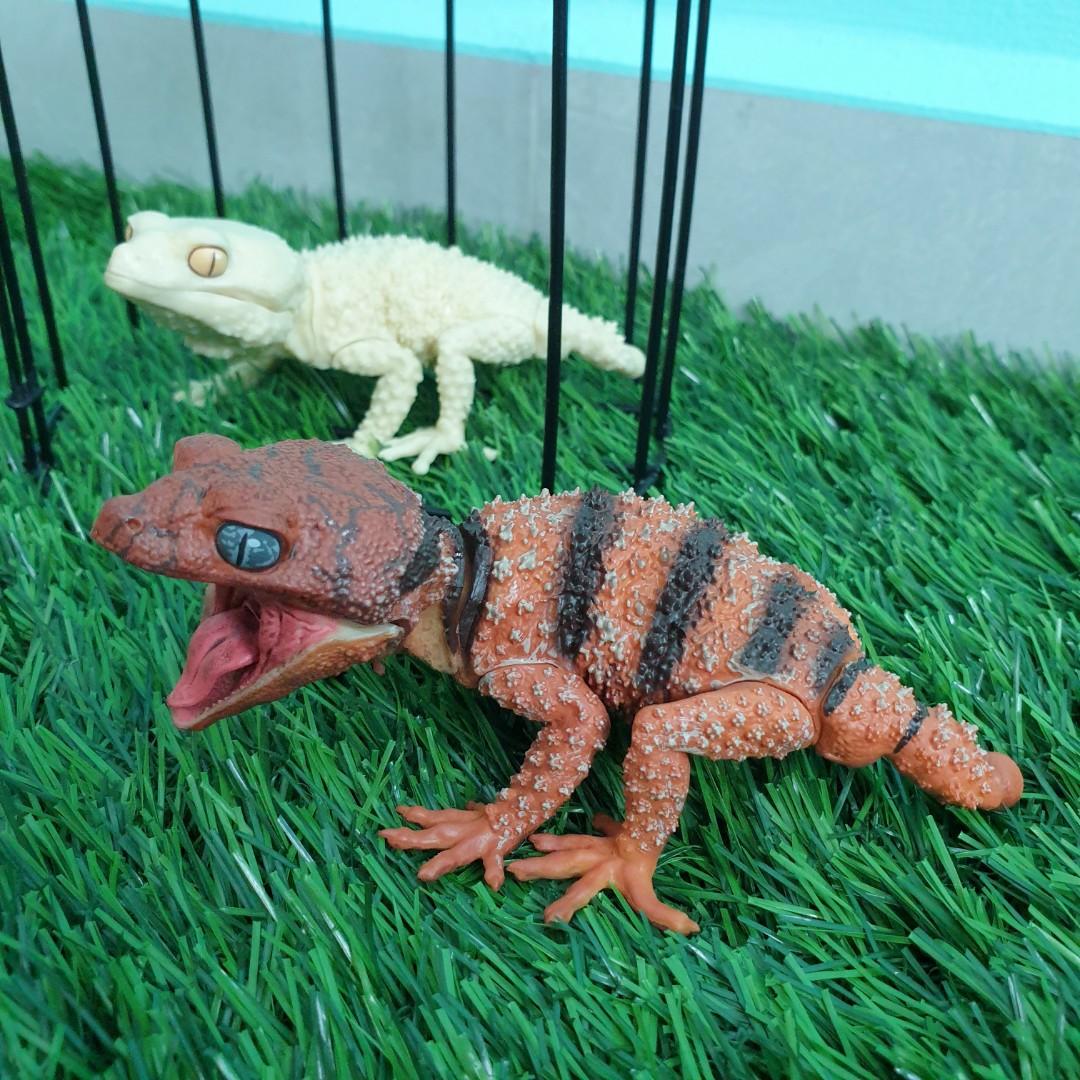 Armadillo Replica Realistic Lizard Gecko figure set of 4 Pets Reptile ...
