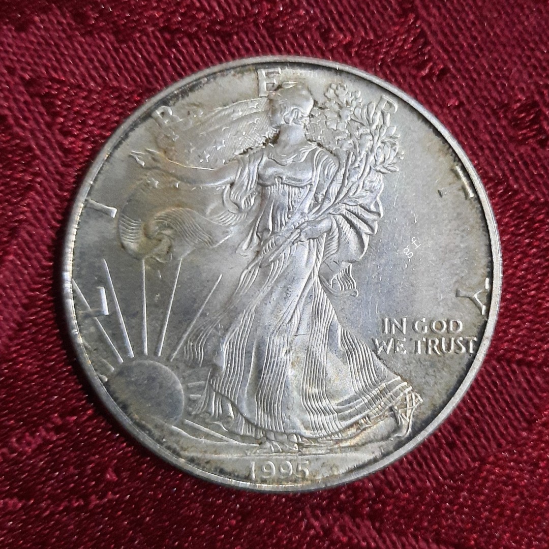 One dollar 1995 silver, Hobbies & Toys, Memorabilia & Collectibles ...