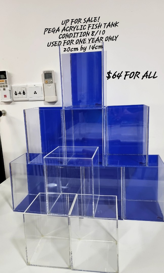 Pega acrylic fish tank, Pet Supplies, Homes & Other Pet Accessories on ...
