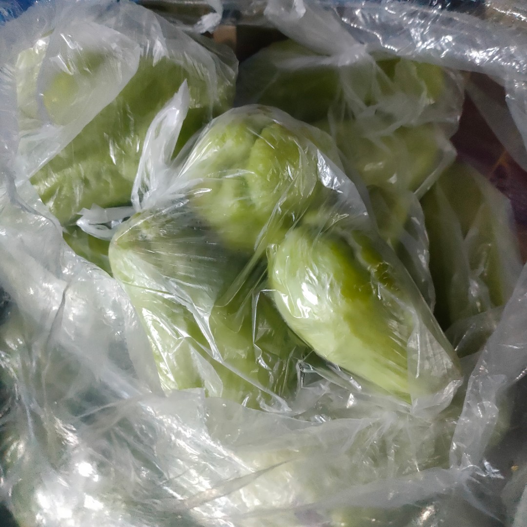 Sayote, Food & Drinks, Fresh Produce on Carousell