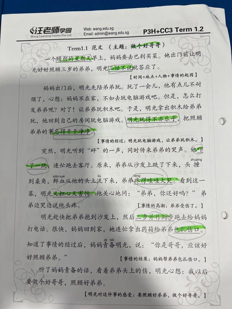 2021 P3 Full set Wang learning centre 汪老师 Chinese worksheets 3 hours ...