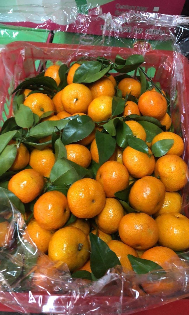 China Sugar Kiat 6kls, Food & Drinks, Fresh Produce on Carousell