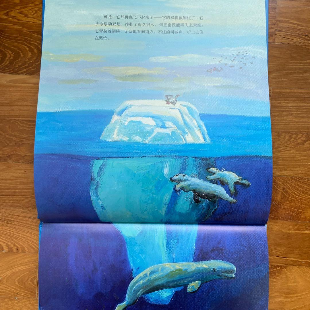 Chinese: The Bird And The Iceberg 鸟和冰山的故事, Hobbies & Toys, Books ...