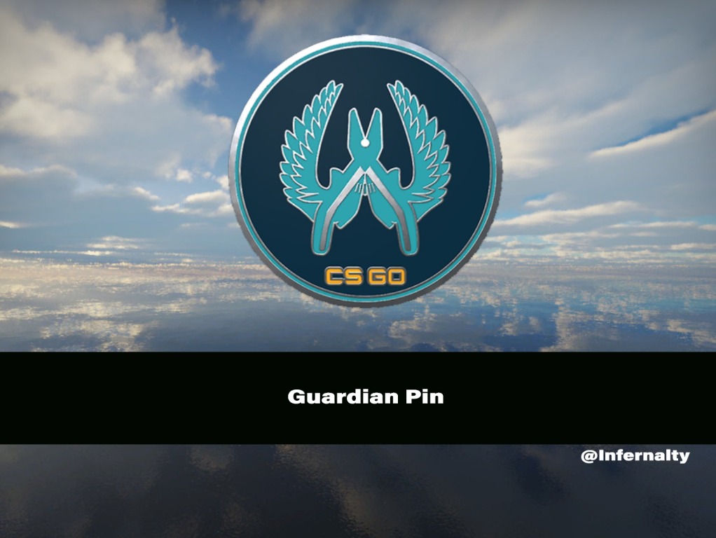 Guardian Pin CSGO SKINS KNIVES PIN, Video Gaming, Gaming Accessories ...