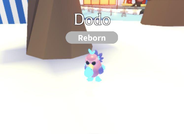 Roblox Adopt Me - NFR Dodo (Neon Fly Ride) - Legendary, 電子遊戲, 遊戲機配件, 遊戲 ...