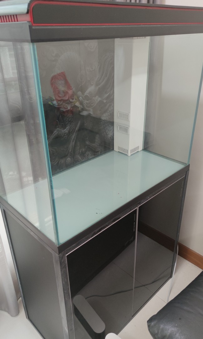 SunSun fish tank, Pet Supplies, Homes & Other Pet Accessories on Carousell