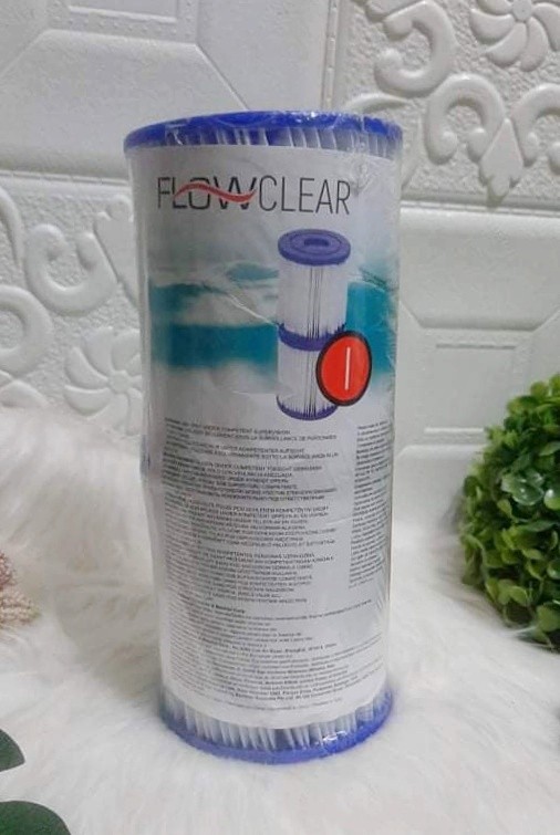 1Bestway Flow Clear Pool Filter Cartridge, Furniture & Home Living ...