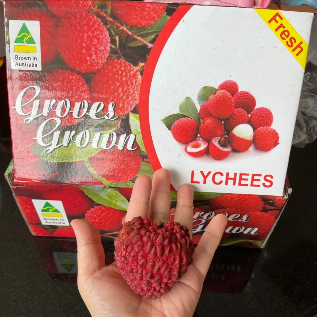 Australia Dragon Egg Lychee, Food & Drinks, Fresh Produce on Carousell