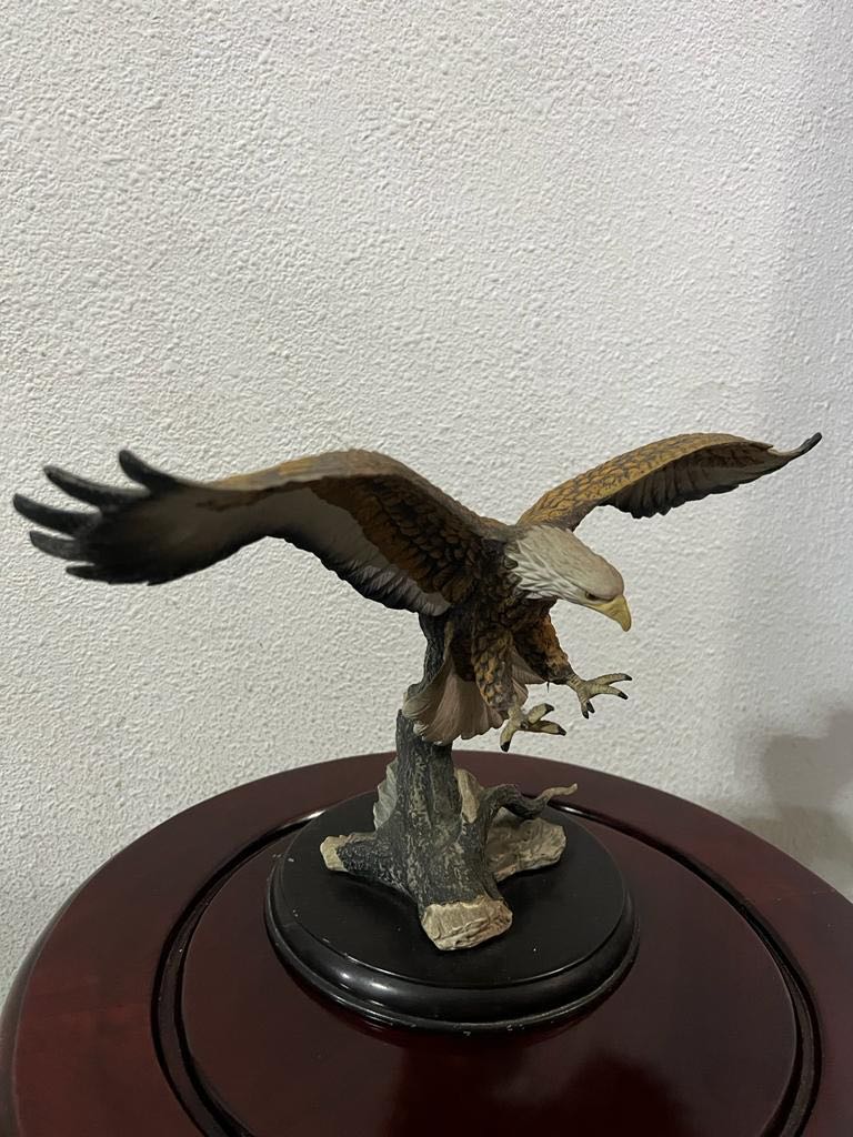 Beautiful realistic eagle display, Hobbies & Toys, Memorabilia ...