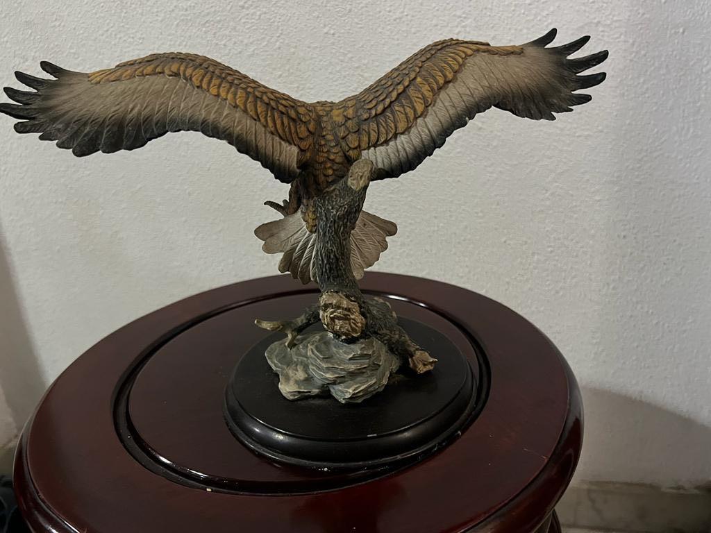 Beautiful realistic eagle display, Hobbies & Toys, Memorabilia ...