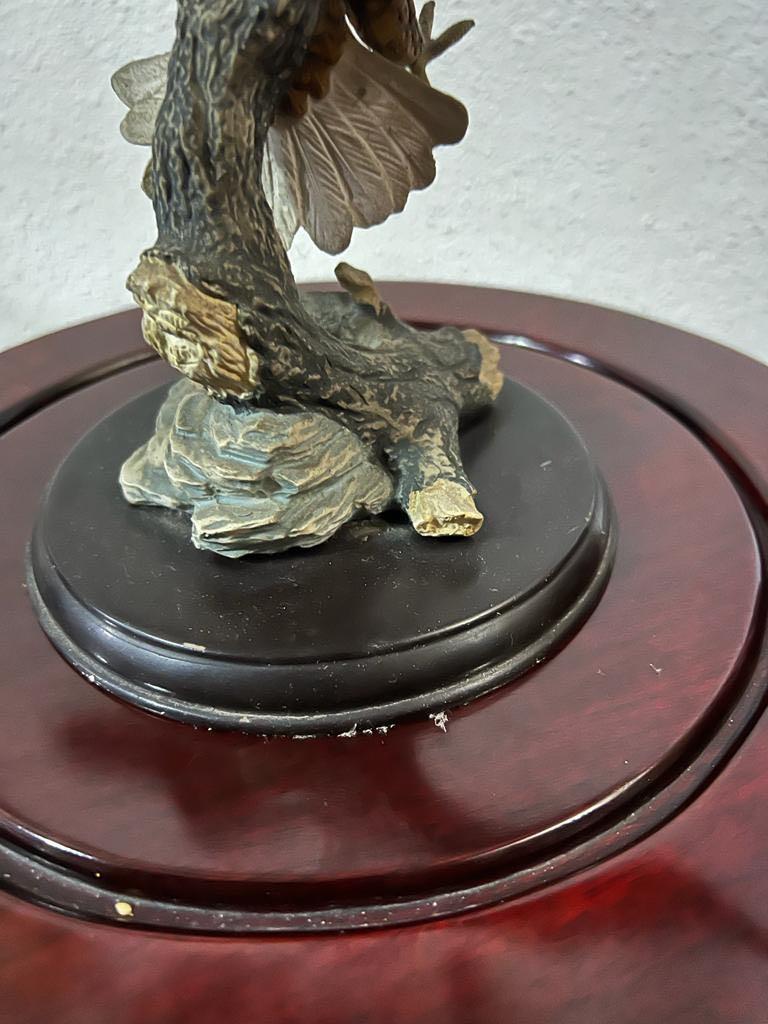 Beautiful realistic eagle display, Hobbies & Toys, Memorabilia ...