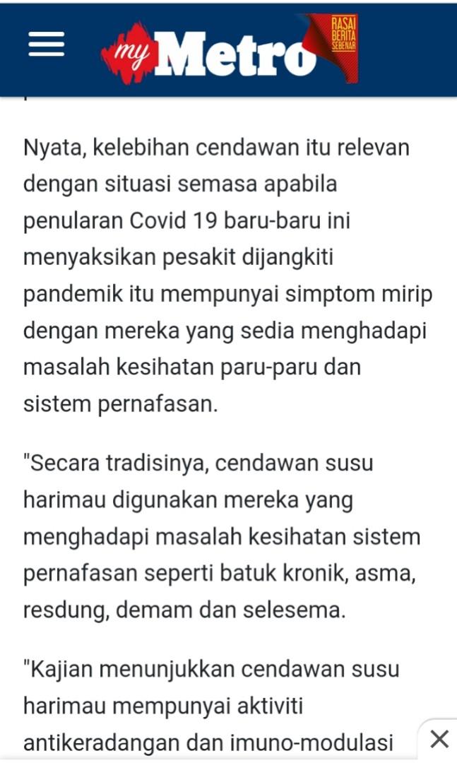 Cendawan susu harimau tiger mushroom, Health & Nutrition, Health ...