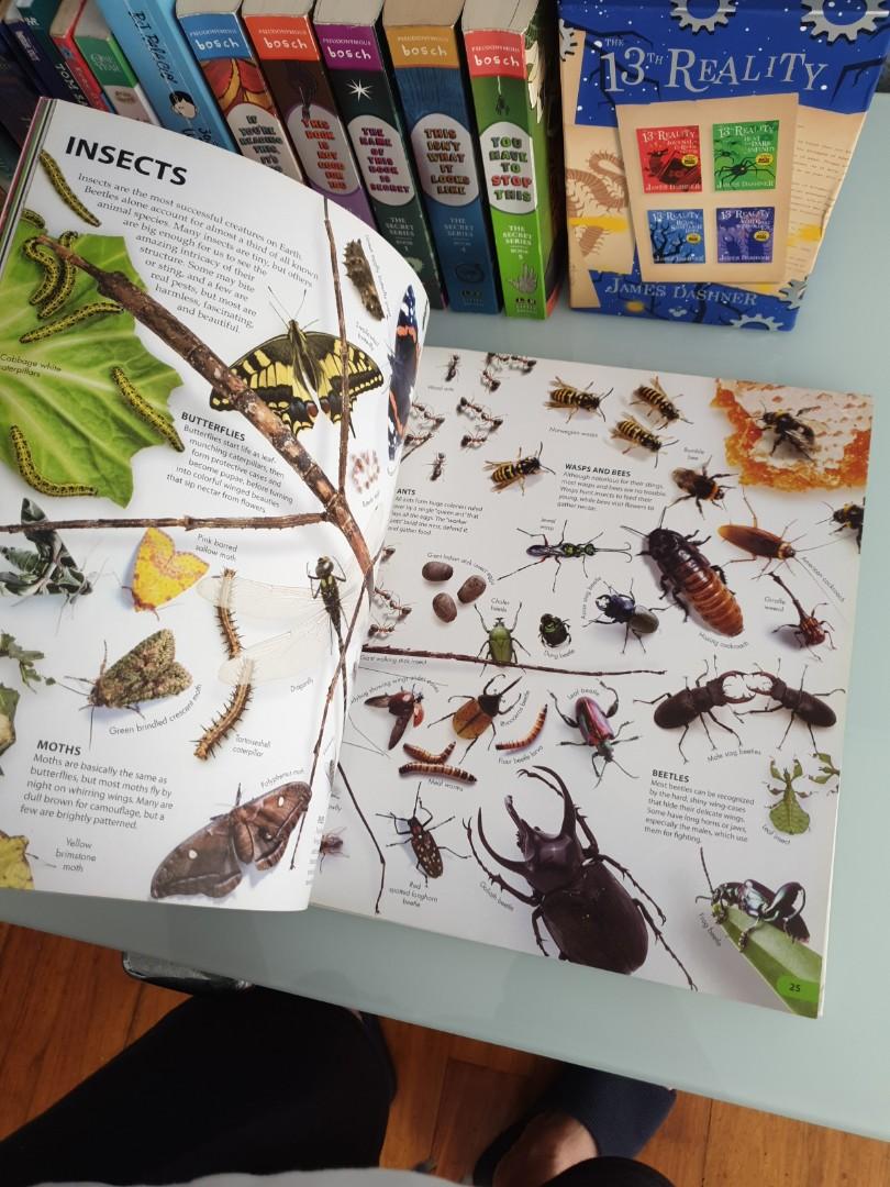 Encyclopedia For Kids, Hobbies & Toys, Books & Magazines, Children's ...