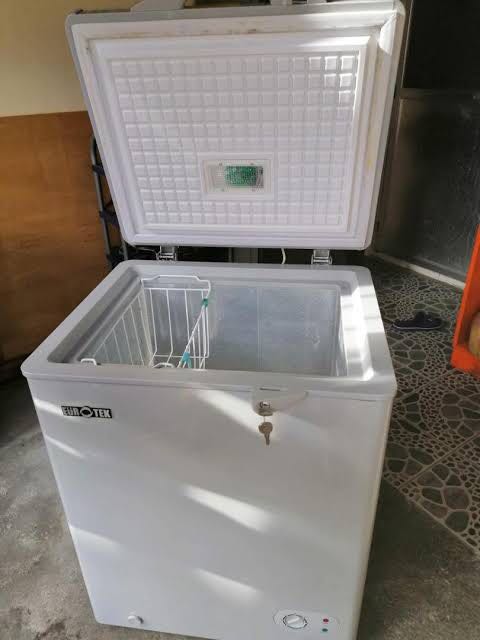 EUROTEK NON INVERTER CHEST FREEZER, TV & Home Appliances, Kitchen ...